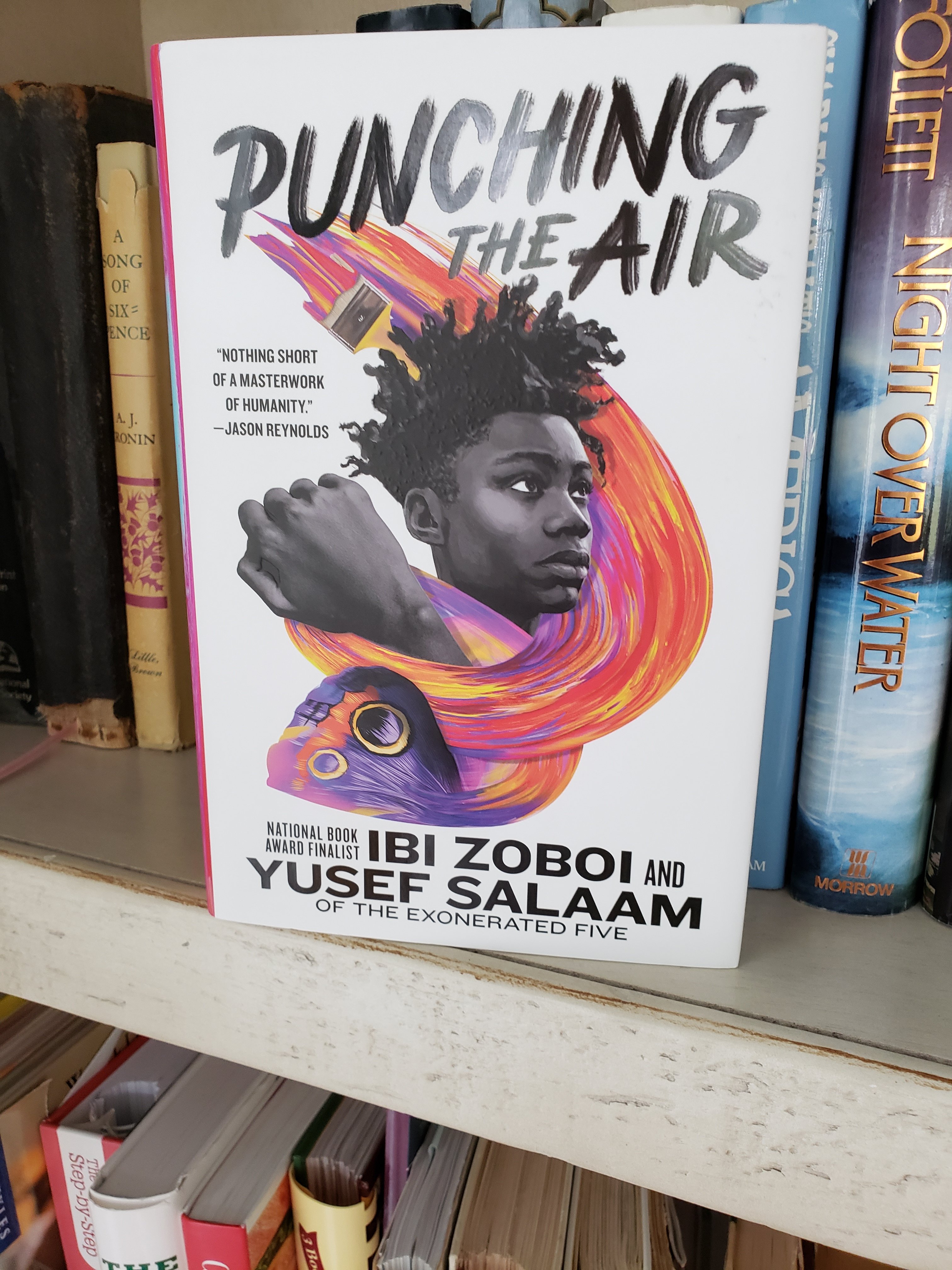 Punching The Air – a book review – Miss Judy Writes