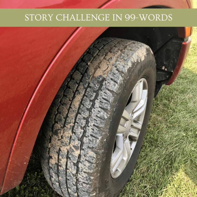Mud on the Tires of Life – 99-word-story – Miss Judy Writes